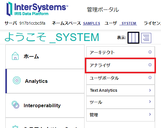 IRIS BI開発者向けチュートリアルを試してみる(2) | InterSystems Developer Community | Analyzer